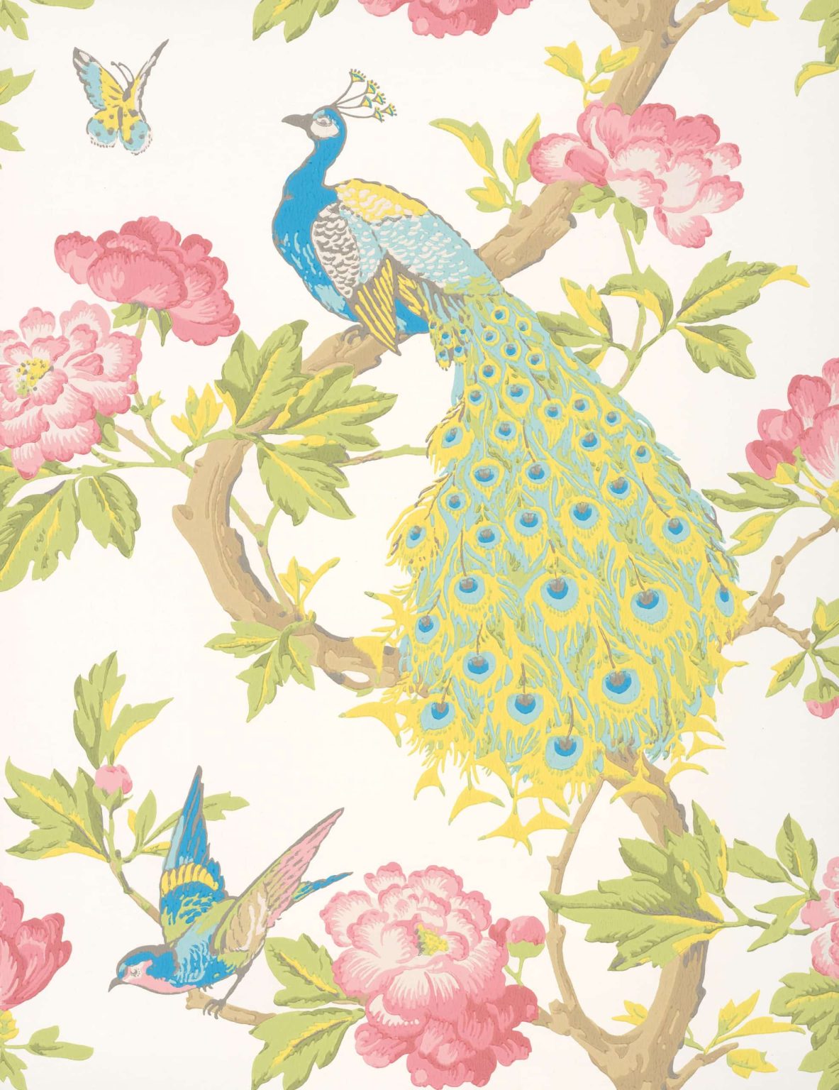 Pavona Blanche Little Greene Wallpaper - Avace